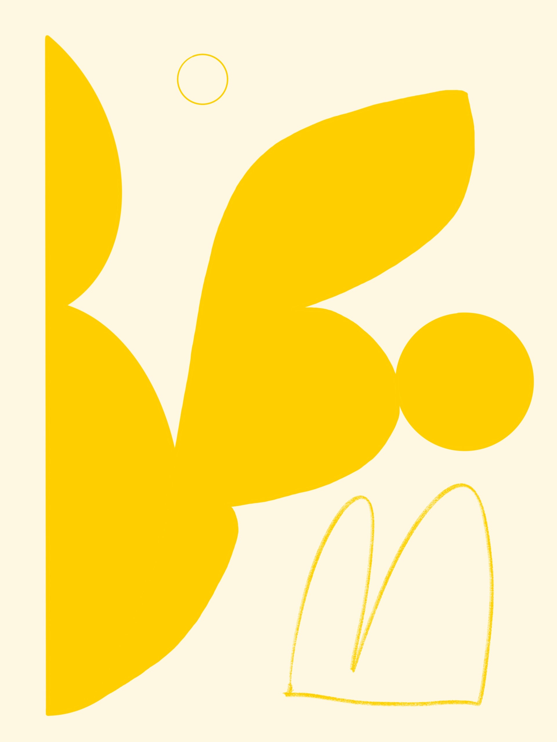 Framer Seltzer